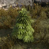 Rust Wiki - All about Rust Skins and Items