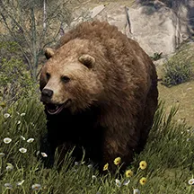 Bear - Rust Wiki