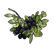 Black Berry Clone - Rust Wiki