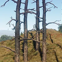 Dead Tree - Rust Wiki