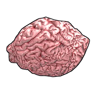 Fresh Brain - Rust Skin Price & Details