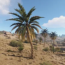 Medium Palm Tree - Rust Wiki