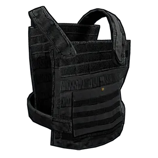 Plate Carrier - Black - Rust Skin Price & Details