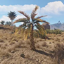 Small Palm Tree - Rust Wiki