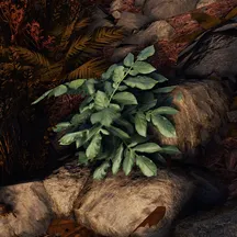 Wild Potato Plant - Rust Wiki