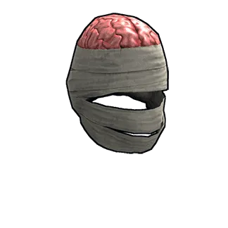 Wrapped Brain - Rust Skin Price & Details