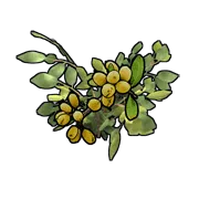 Yellow Berry Clone - Rust Wiki