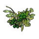 Large Planter Box - Crafting, Loot & More